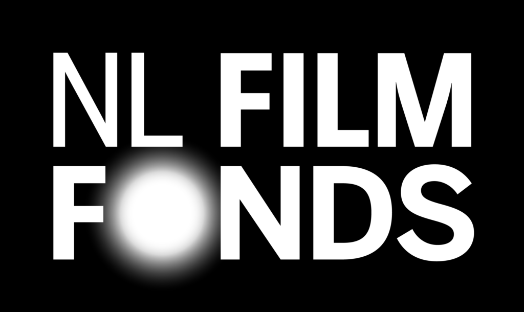 The Dmitriev Affair - Jessica Gorter